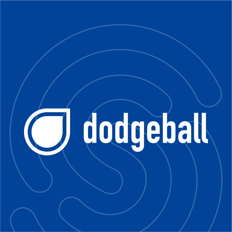 Consolidated Fraud-Stack Dodgeball Integrates SEON's Unified Fraud ...